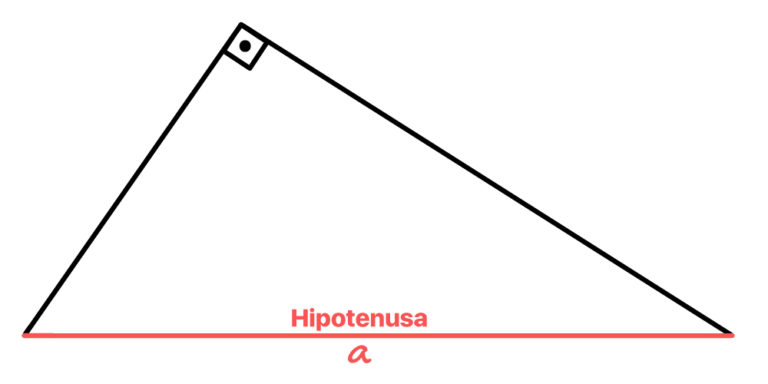 Blog Professor Ferretto