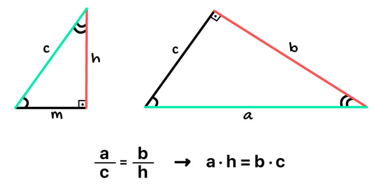 Blog Professor Ferretto
